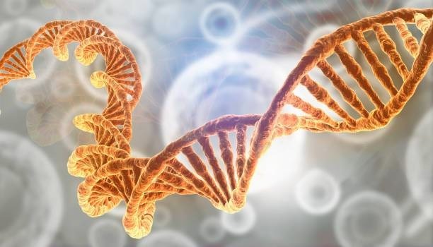 Allianz Bioinnovation